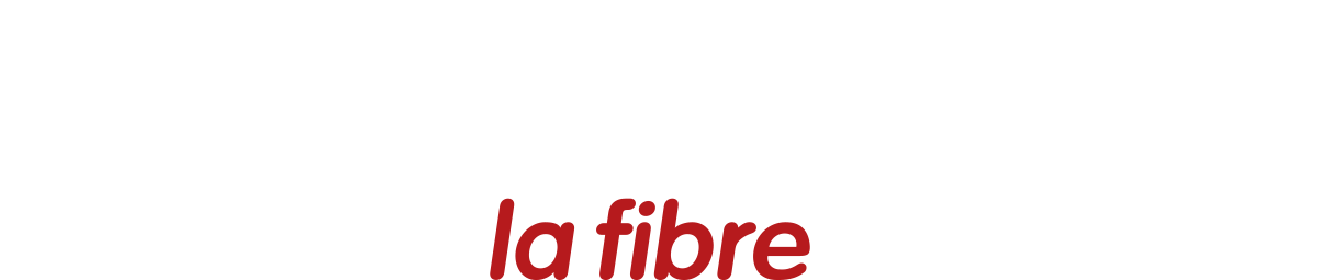 Connectivity - Monaco Telecom